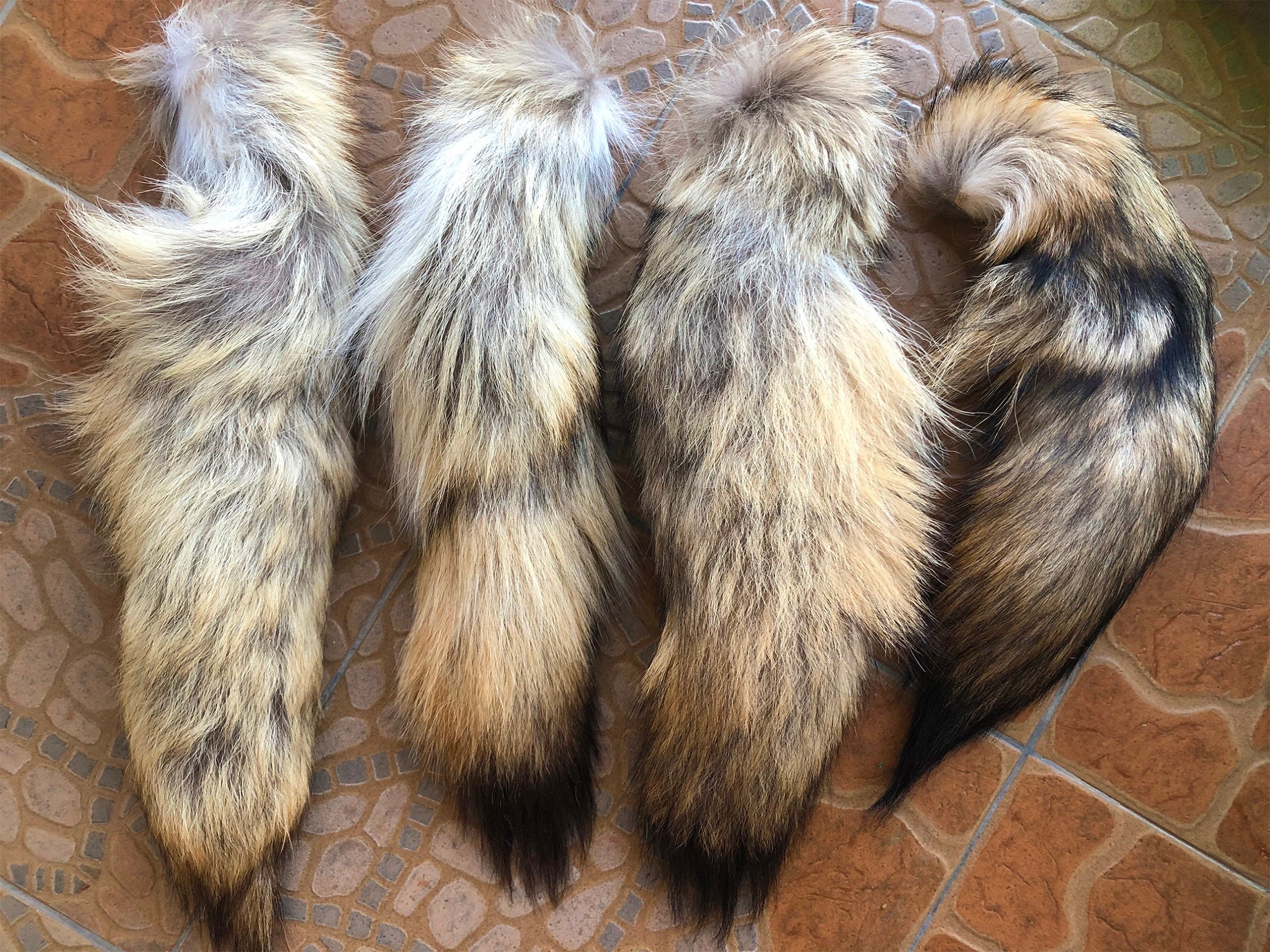 Large Plump Coyote Tails Select 14-18 Soft Fur Silky - Etsy Australia