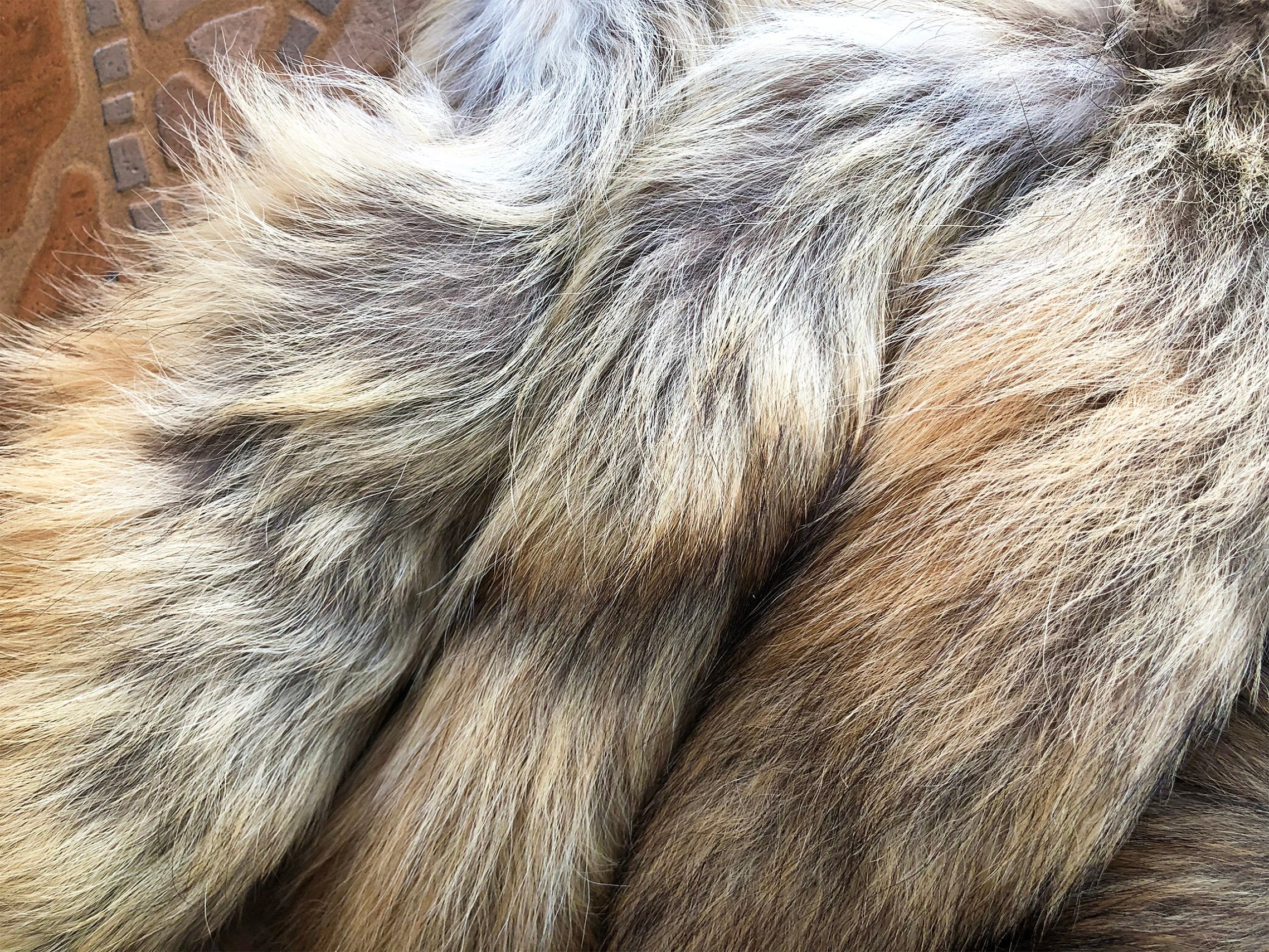 Large Plump Coyote Tails Select 14-18 Soft Fur Silky - Etsy Australia