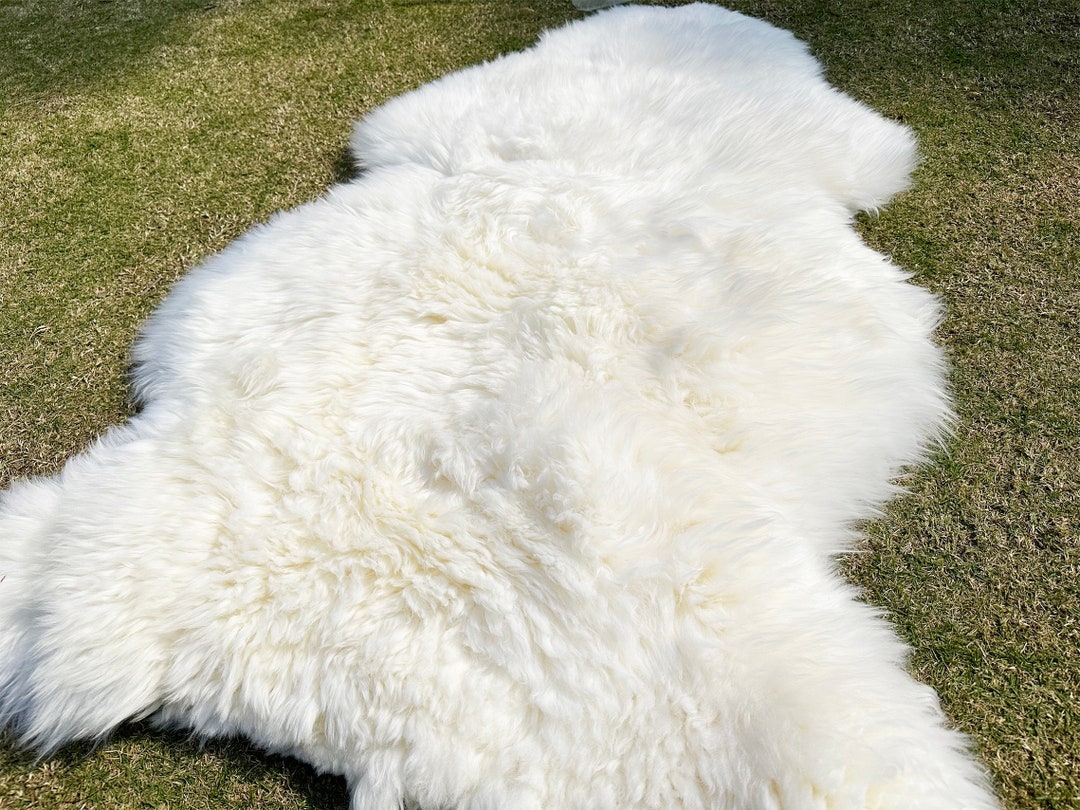 Complete 90*60 Cm Sheepskin. 100% Natural Pelt. Suitable for Making ...