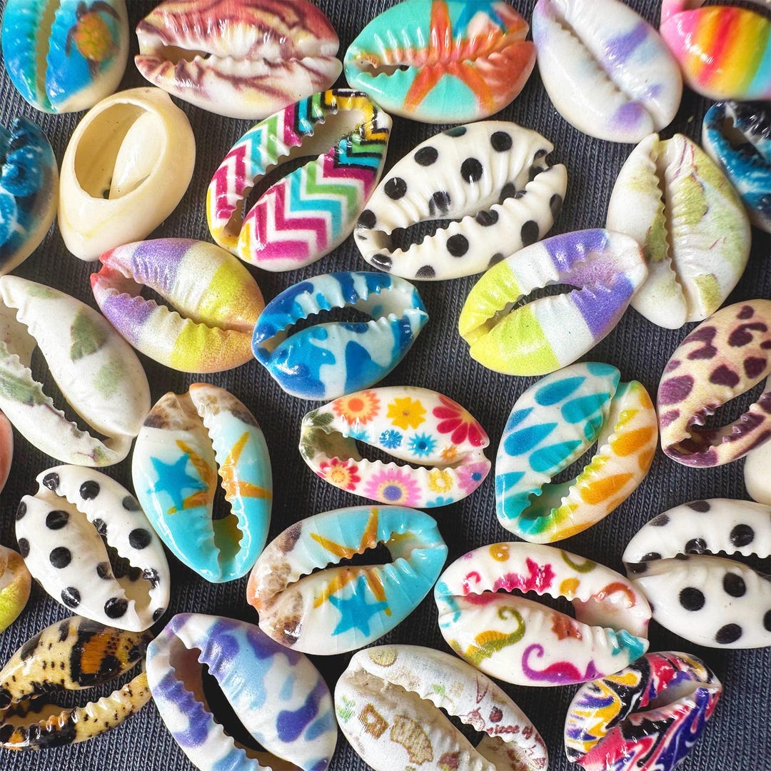Printed Cowrie Shells: Natural Money Shell Beads for Crafting - Etsy