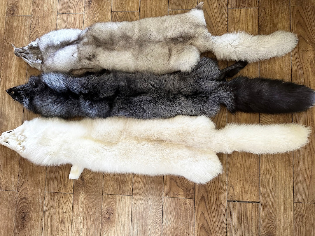 Tanned Fox Pelt: Genuine Animal Fur Hide (45-50 Inch) - Etsy