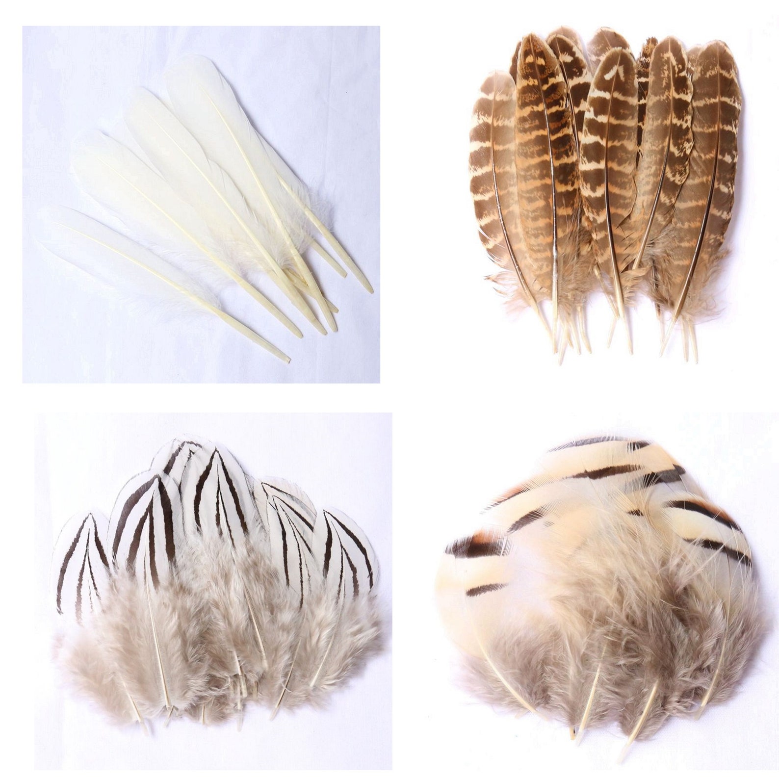 20 Pcs Feather Mix.16 Different Varieties Feathers for Choose.wholesale ...