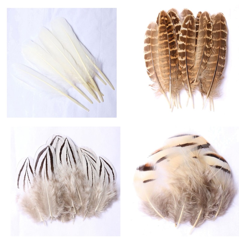 20 Pcs Feather Mix.16 Different Varieties Feathers for - Etsy
