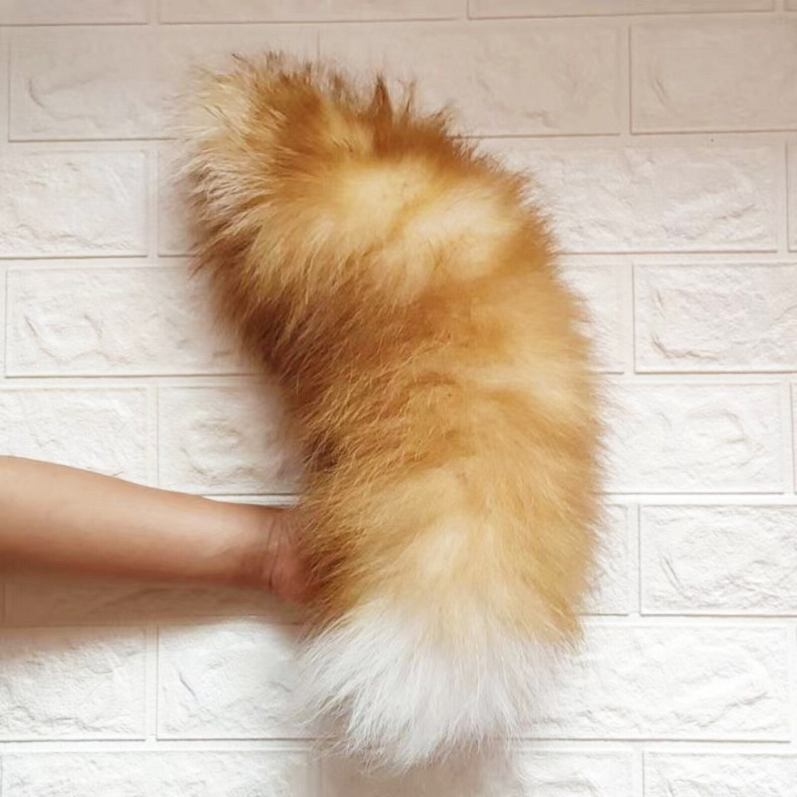1 Pcs Full Foxtail 12-18. 4 Colours Available With - Etsy