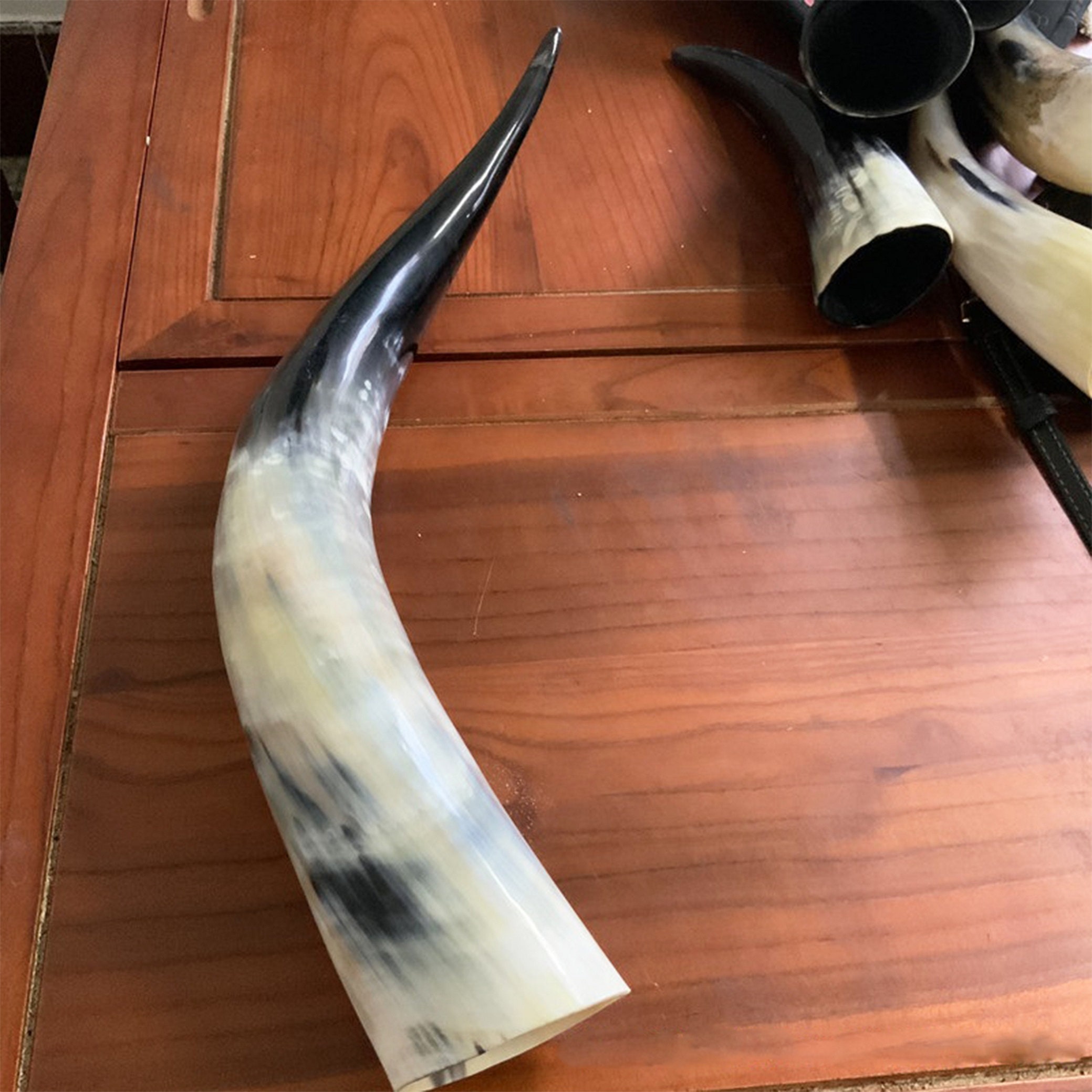 Multiple Sizes Big Polished Black Buffalo Horn 8-24 - Etsy