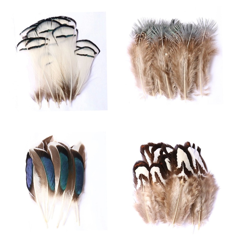 20 Pcs Feather Mix.16 Different Varieties Feathers for - Etsy