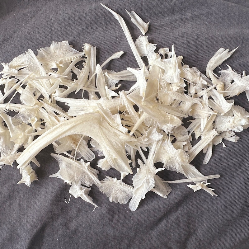 Bone Collector Tools - Etsy