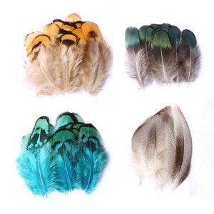 20 Pcs Feather Mix.16 Different Varieties Feathers for Choose.wholesale ...