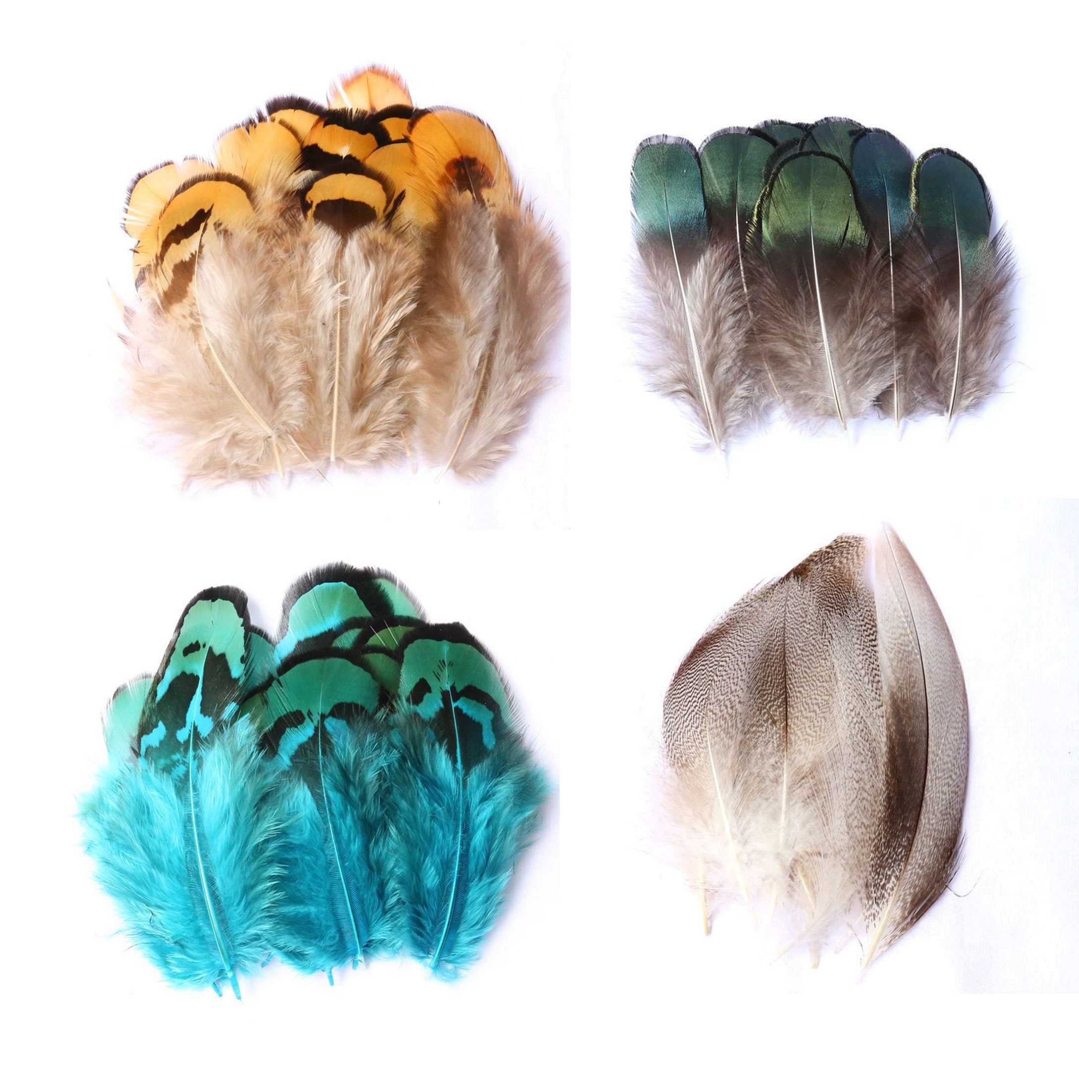 20 Pcs Feather Mix.16 Different Varieties Feathers for - Etsy
