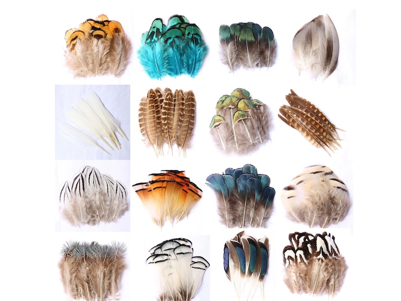 20 Pcs Feather Mix.16 Different Varieties Feathers for Choose.wholesale ...