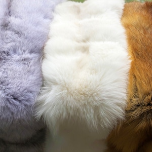 Tanned Genuine Fox Pelt: Extra Large Animal Fur Hide (50 Inch) - Etsy