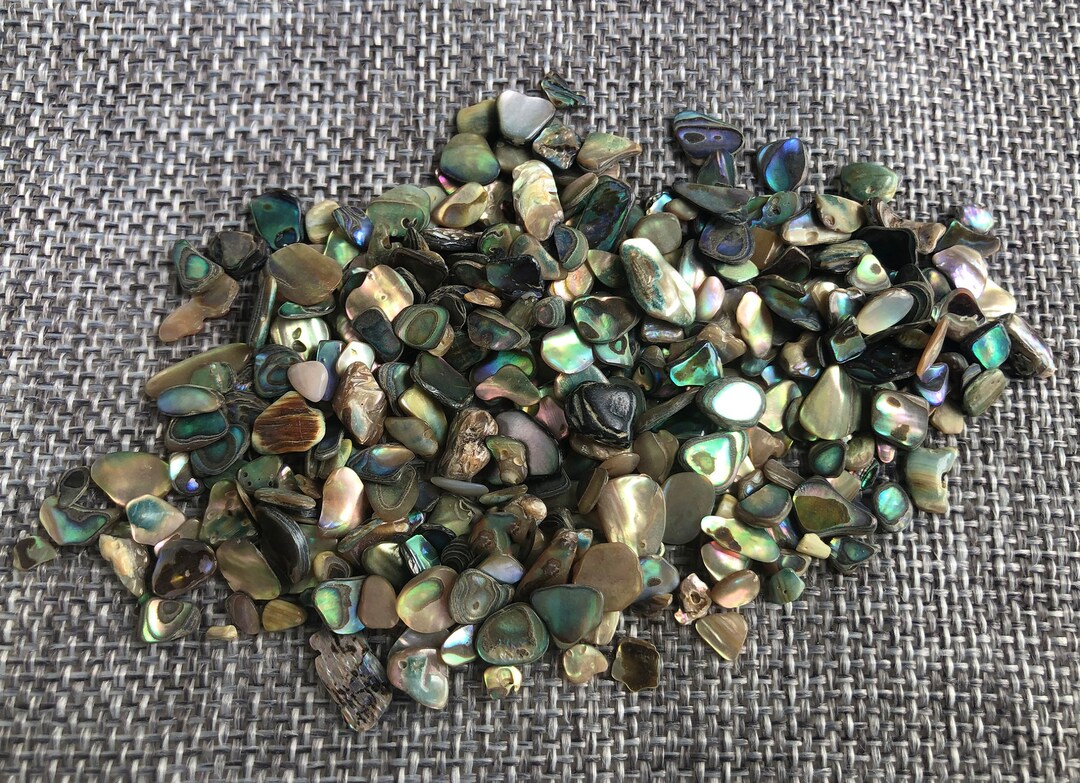 Wholesale ! 10-50g Thin and Small Abalone Shell Pieces.abalone Shell ...