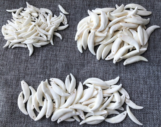 Real Animal Teeth Assorted Species 25 Pieces Stock No. - Etsy