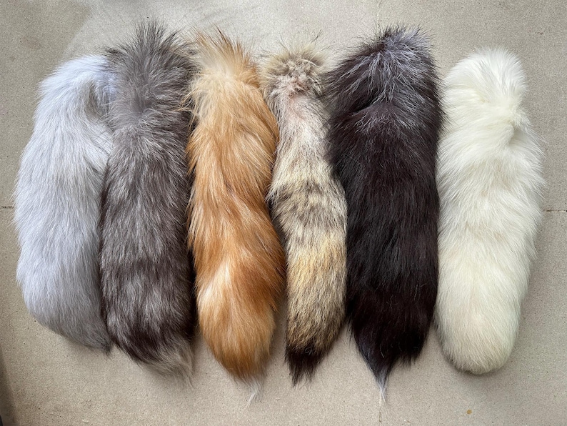 Real Foxtail or Coyote Tail: Soft Fur, 14-16" - Costume or Craft - Etsy