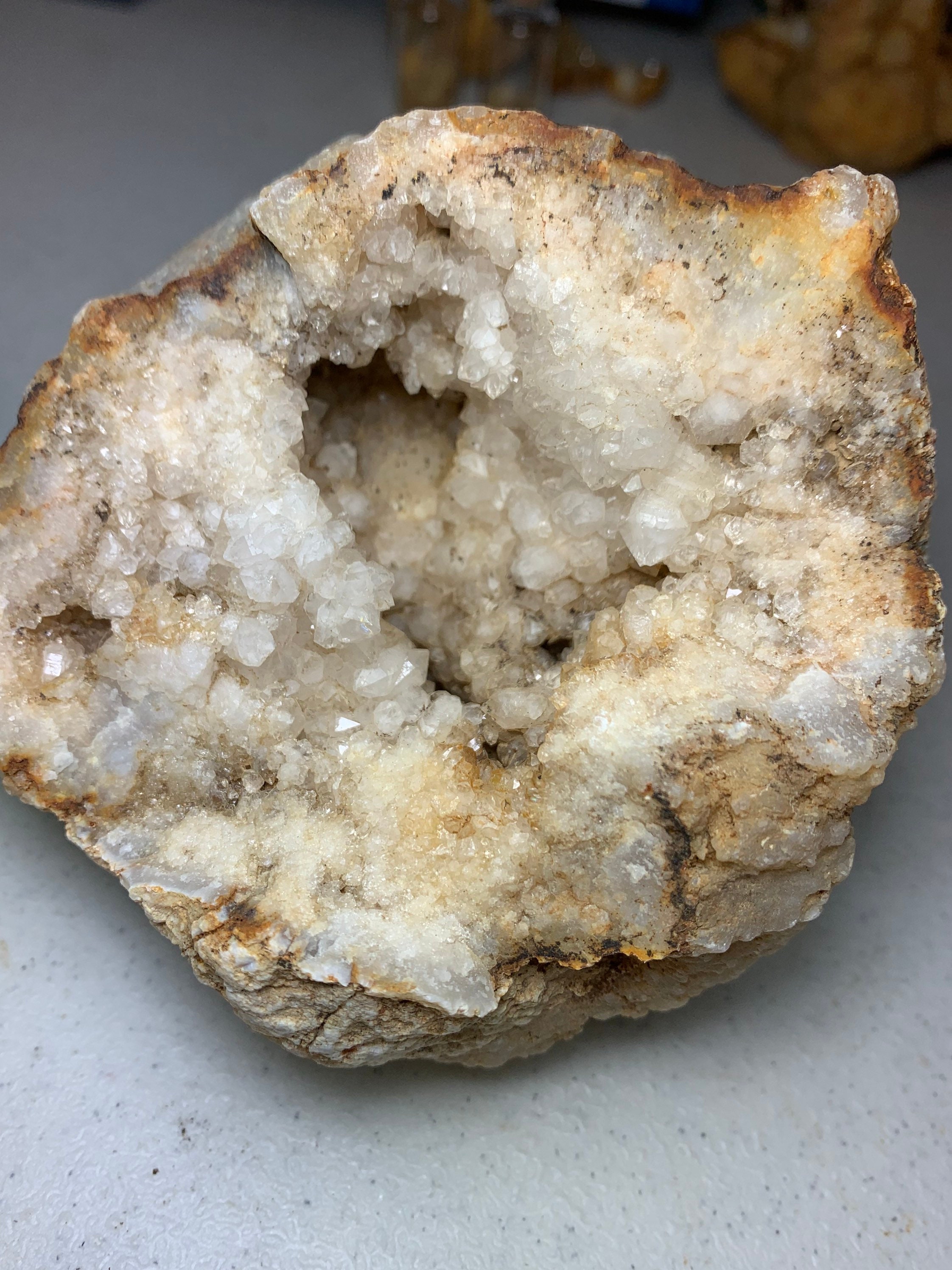 Quartz Crinoid Fossil Geode Etsy