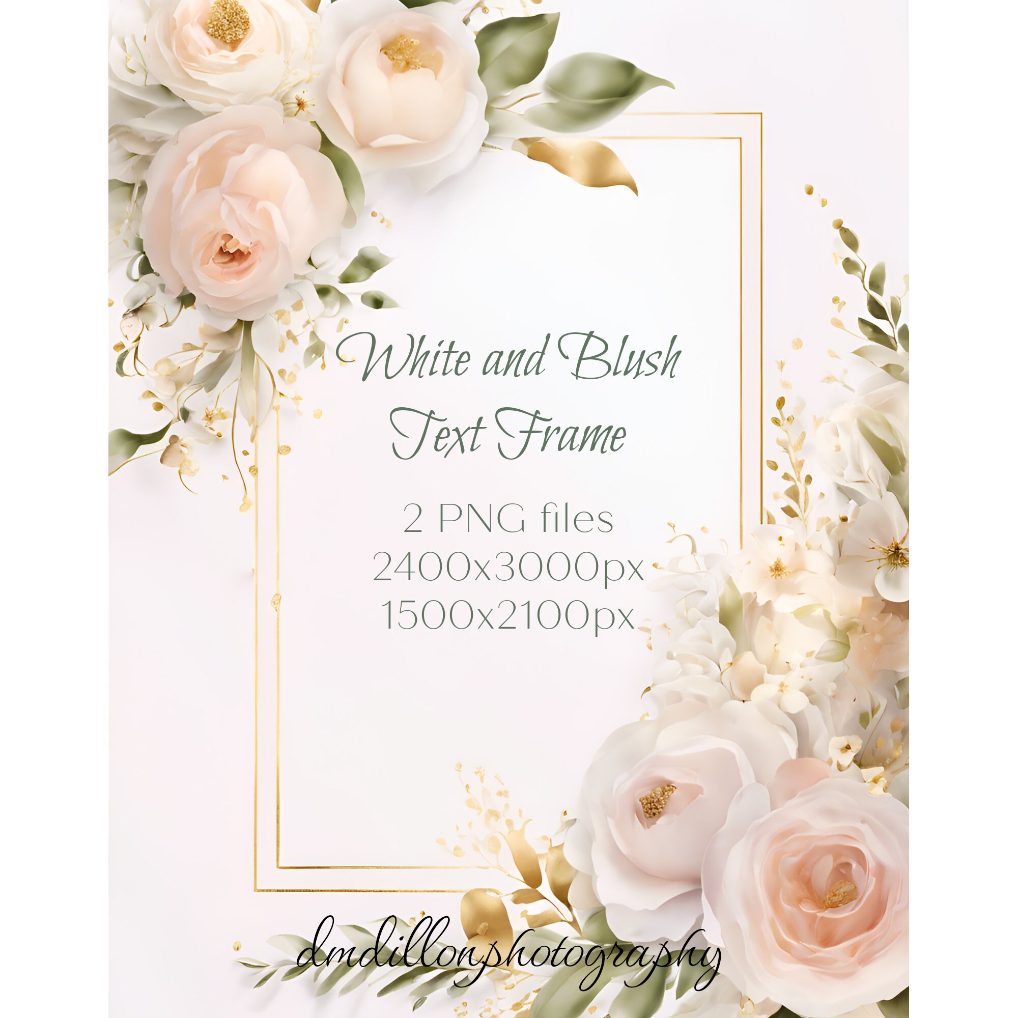 Elegant Blush and White Rose Clipart Text Frame, Digital Download ...