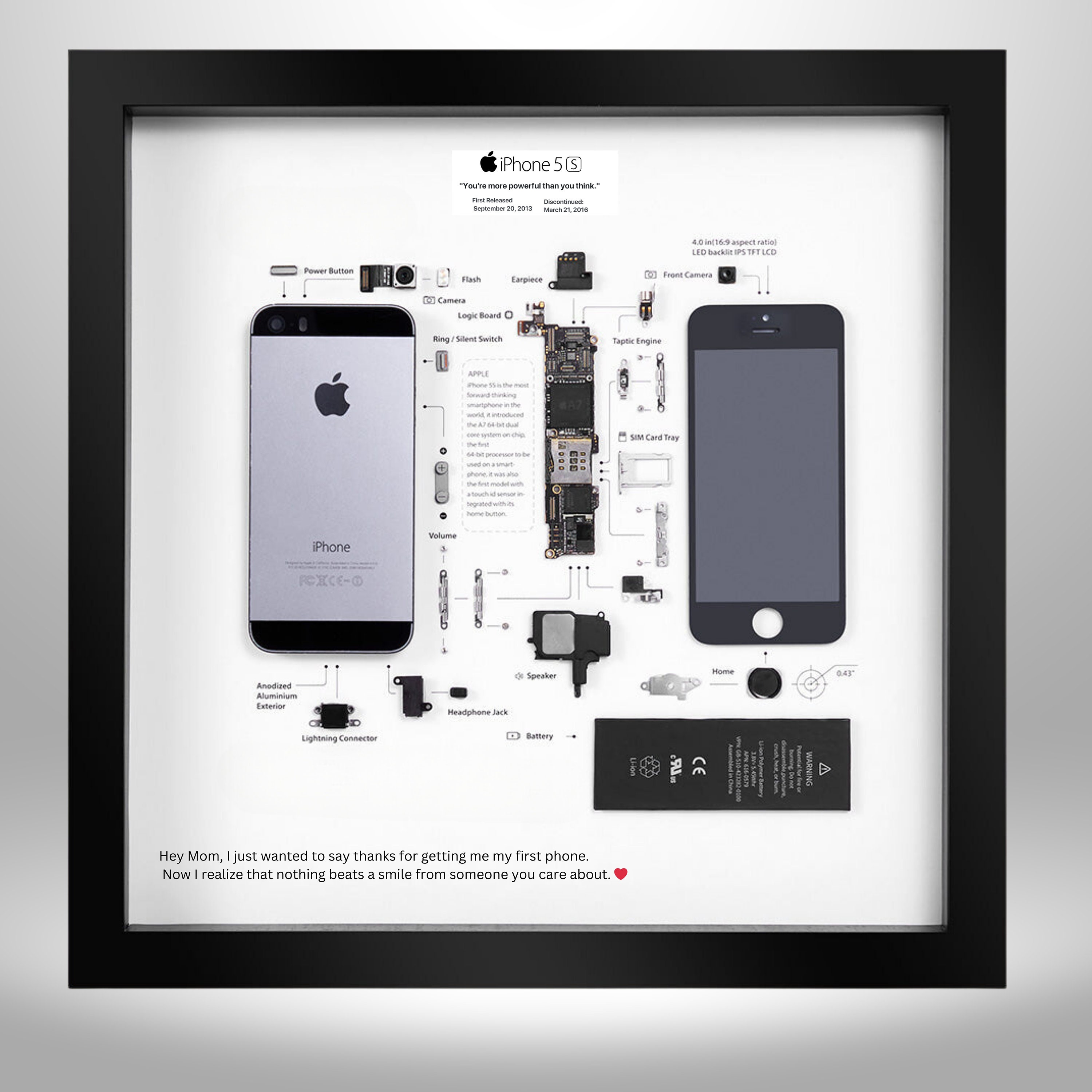 IPhone 5S Teardown Template Download | Disassembled iPhone 5S Framed Art | iPhone 5S Breakdown ...