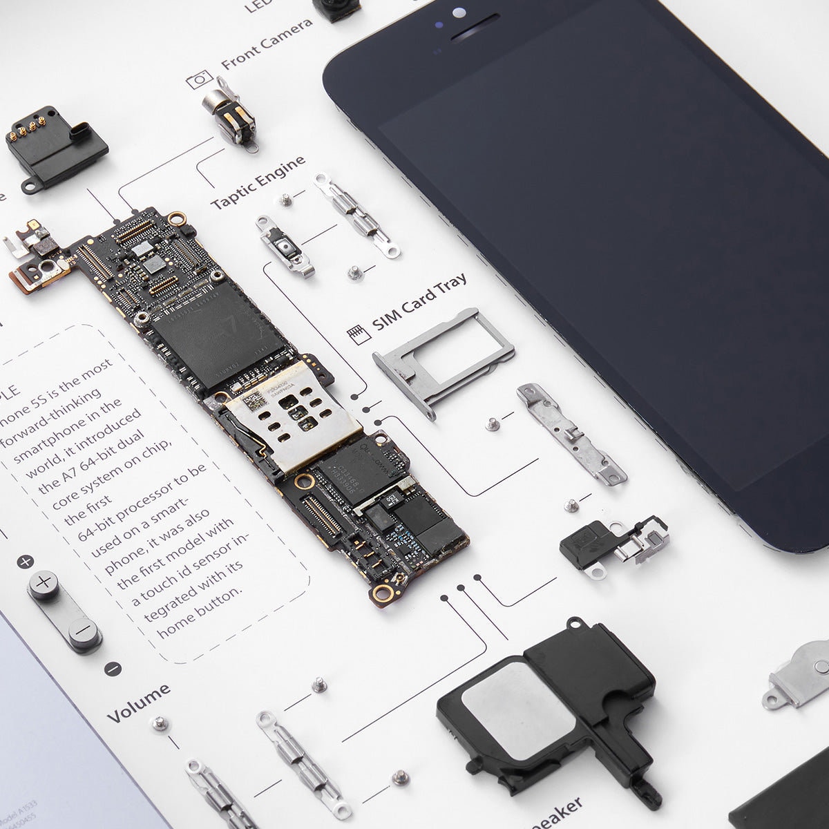 IPhone 5S Teardown Template Download | Disassembled iPhone 5S Framed ...