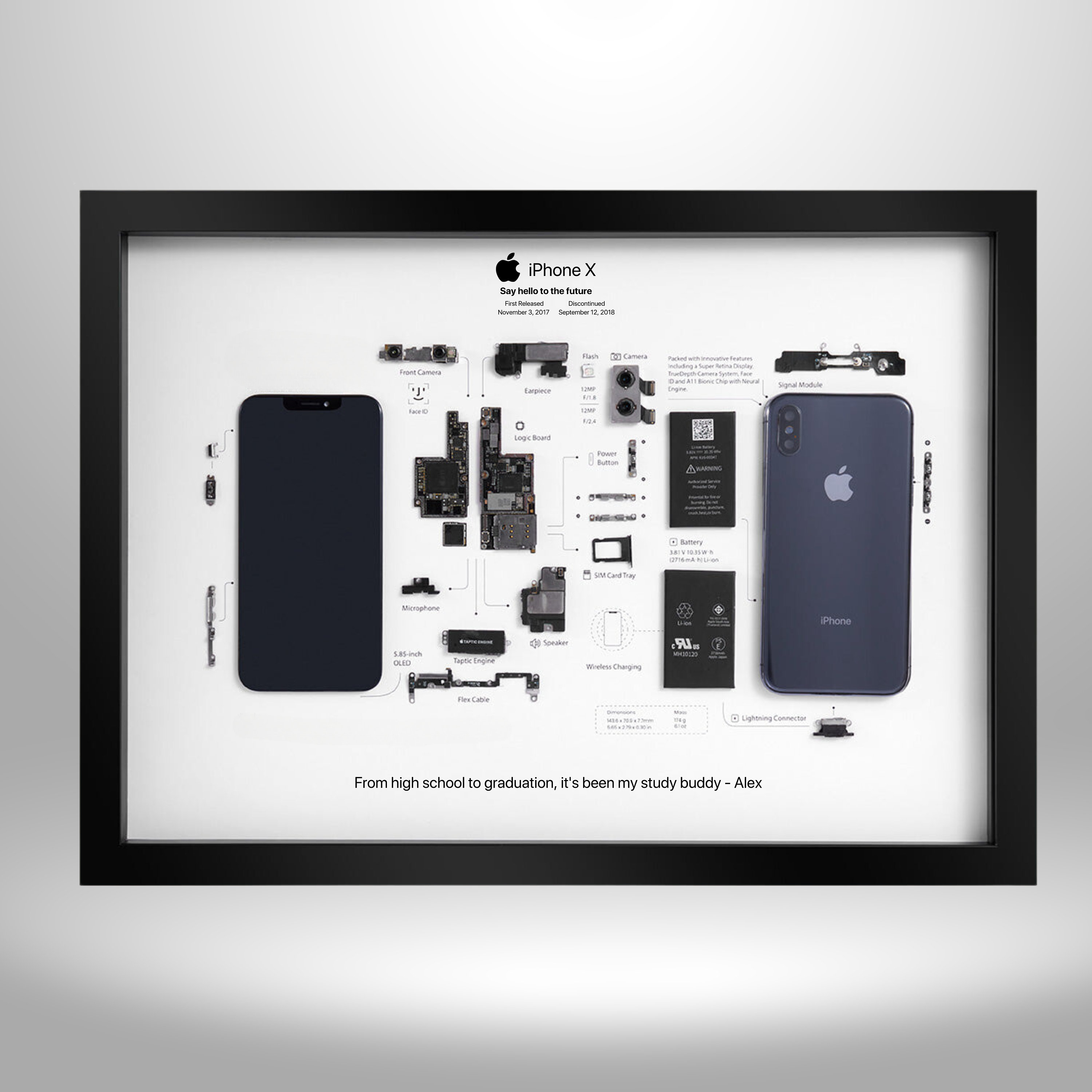 IPhone X Teardown Template Download , Download Disassembled iPhone 10 ...