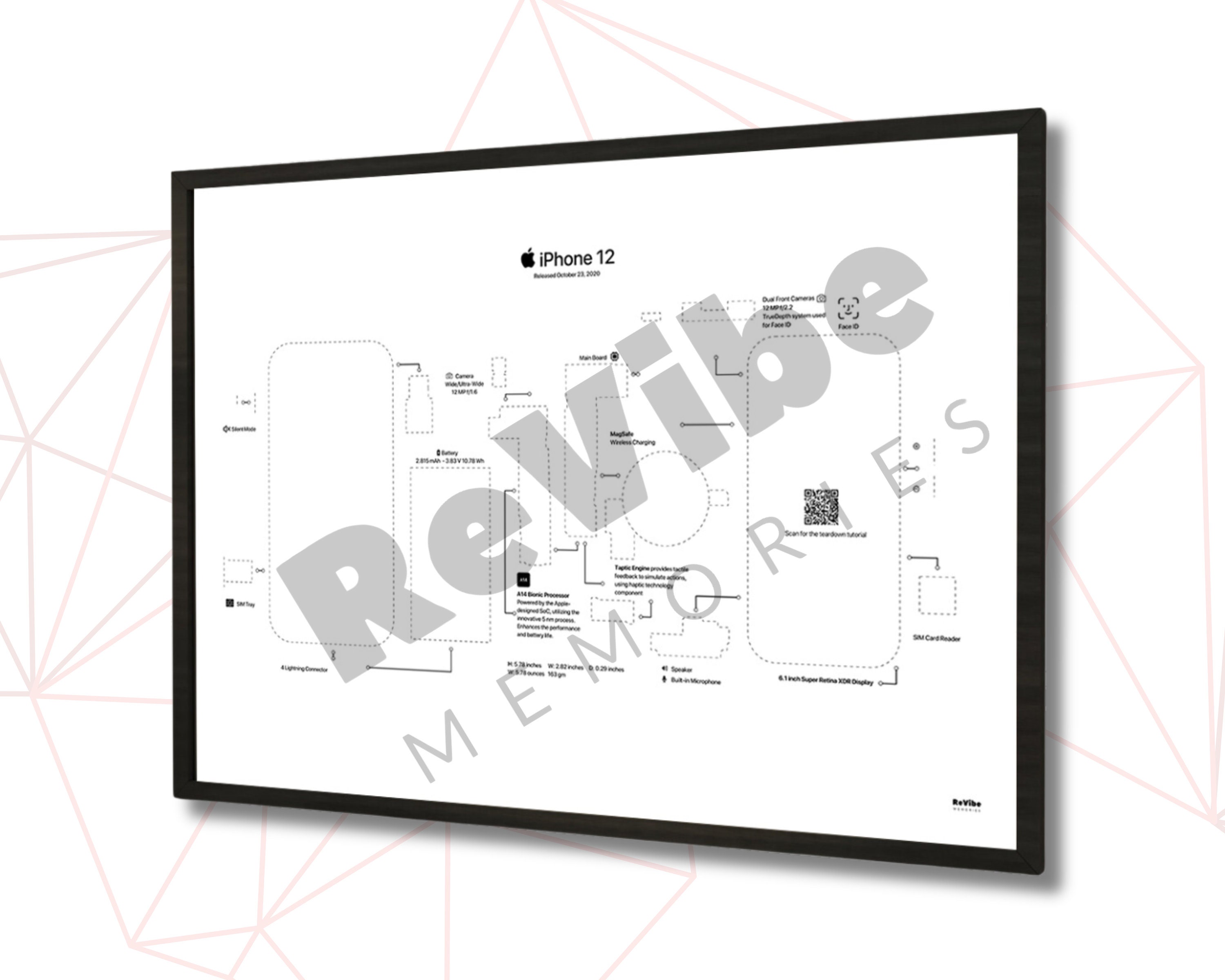 IPhone 12 Teardown Template Download Blueprint , Gerahmtes iPhone 12 ...