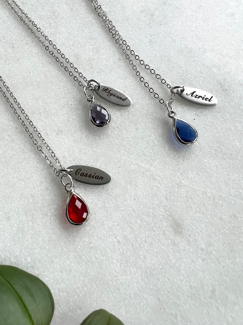 Illyrian Warrior OFFICIALLY LICENSED ACOTAR | Bat Boys| Rhysand ...