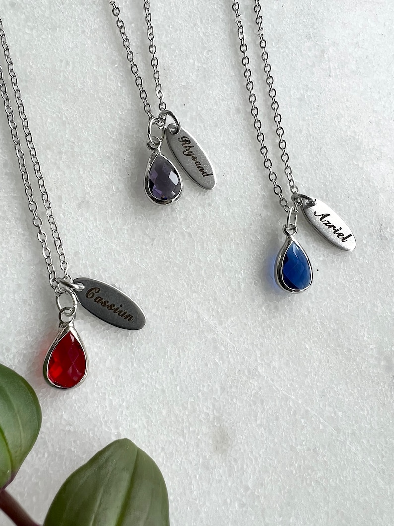 Illyrian Warrior OFFICIALLY LICENSED ACOTAR | Bat Boys| Rhysand ...