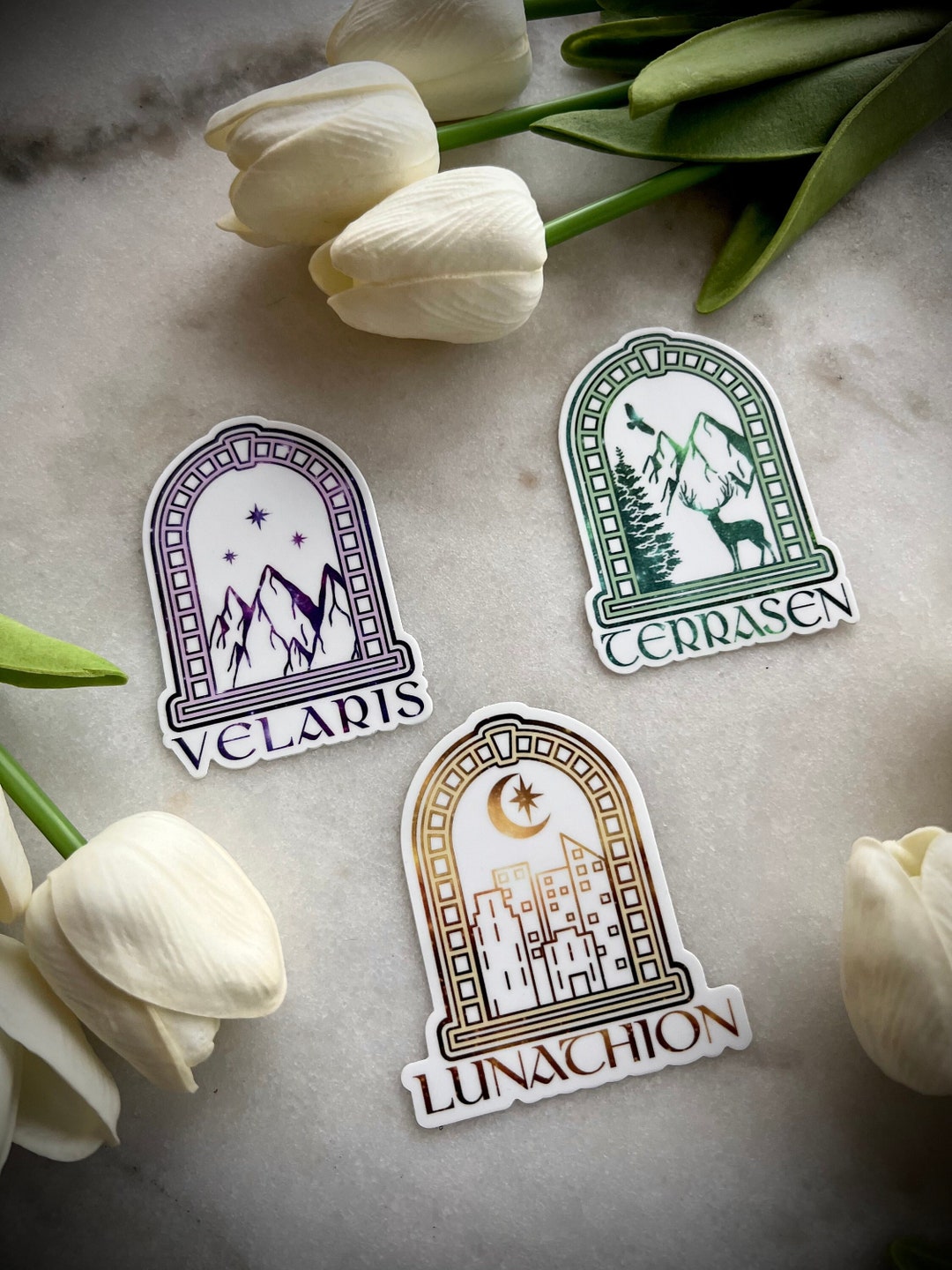 Maasverse OFFICIALLY LICENSED ACOTAR Tog Crescent City Water Resistant ...