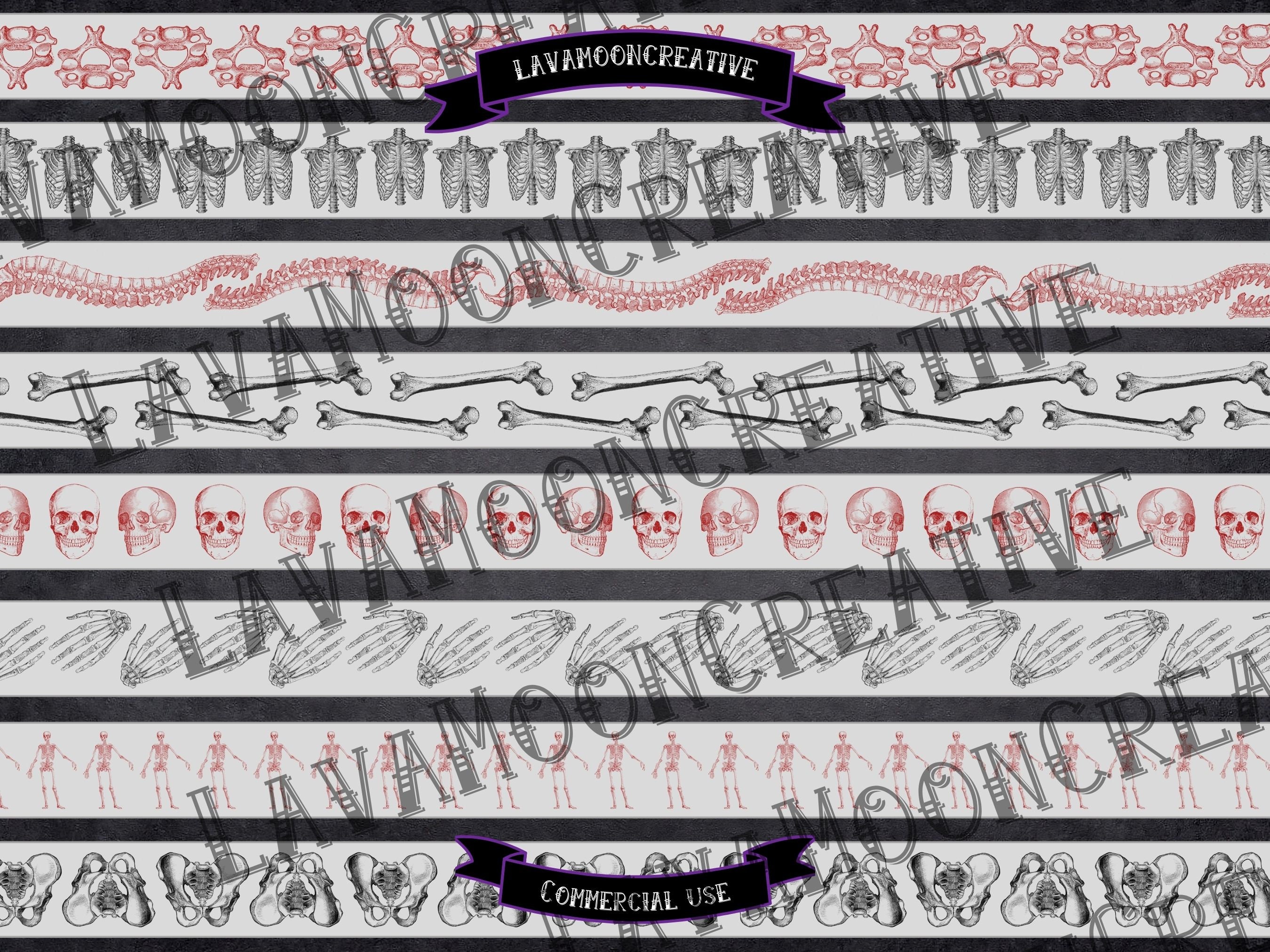 Skeletal Anatomy Printable Washi Tape Strips Bone Skeleton Skull ...