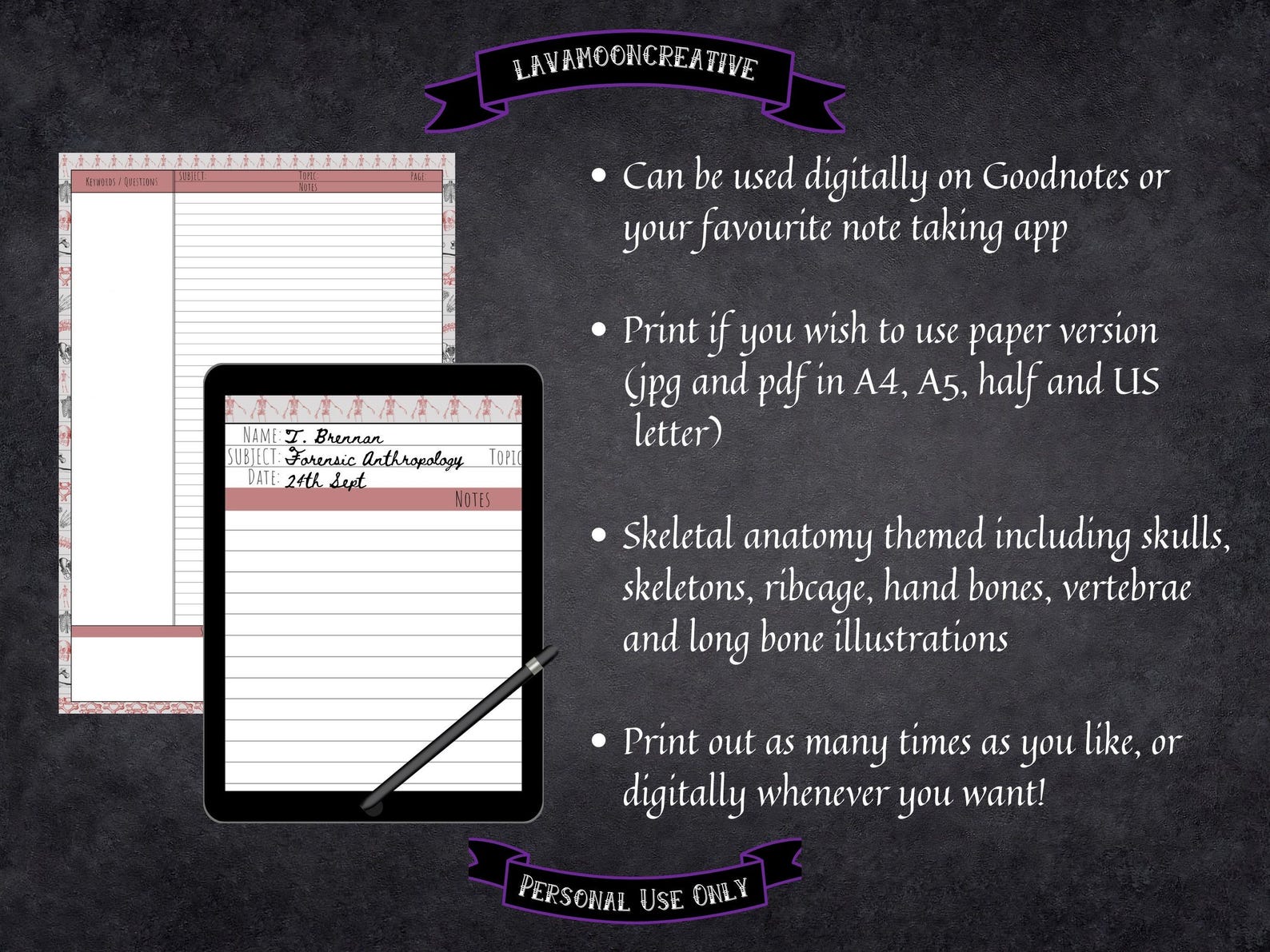 Skeleton Cornell Notes Printable: Forensic Anthropology Anatomy Medical ...