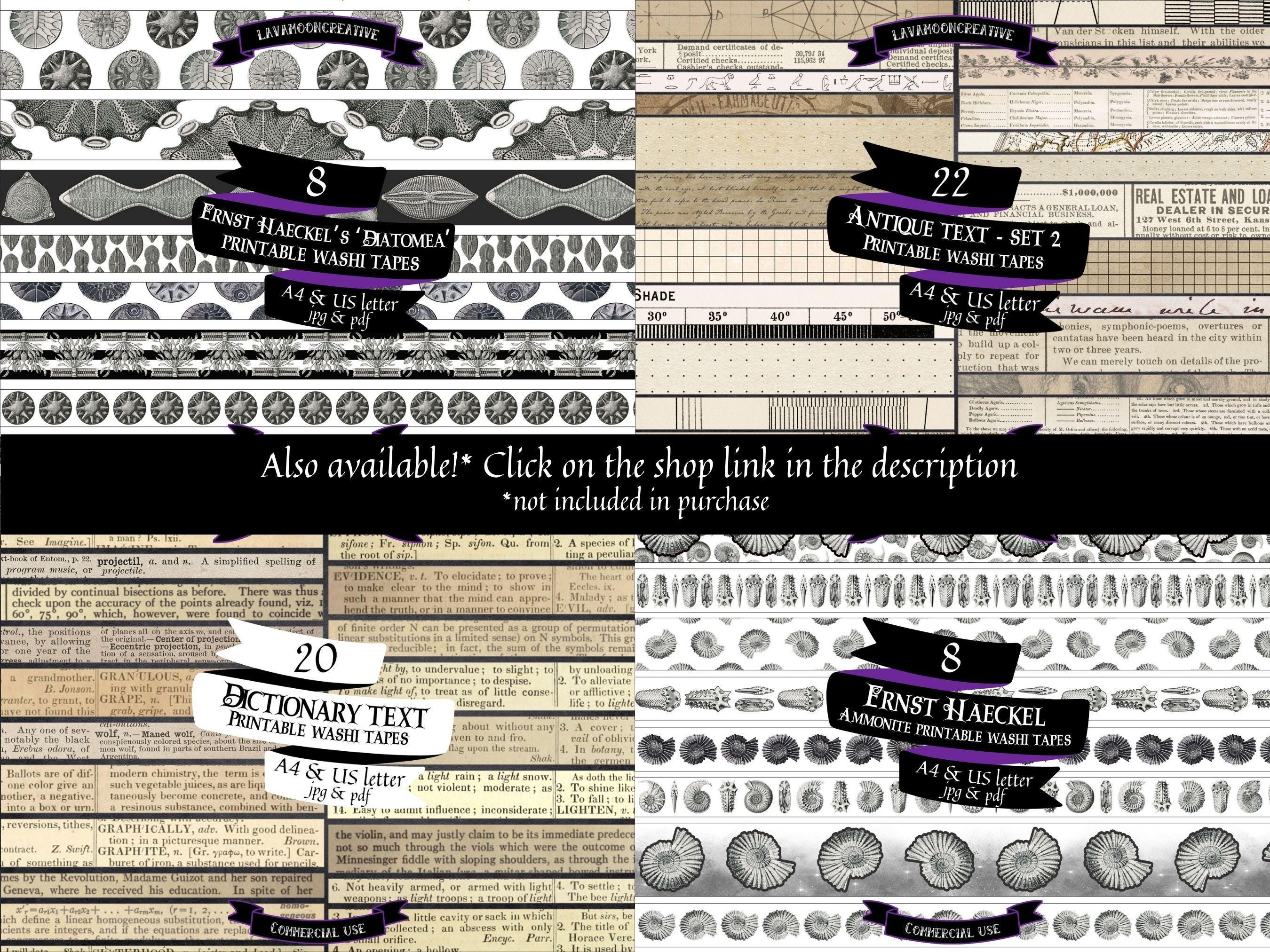 Forensic Printable Note Sheet