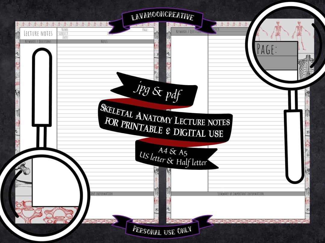 Skeleton Cornell Notes Printable: Forensic Anthropology Anatomy Medical ...
