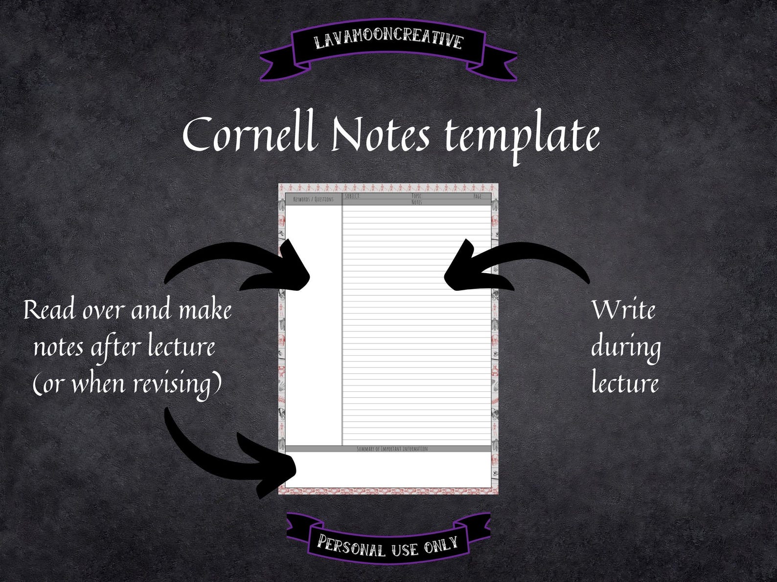 Skeleton Cornell Notes Printable: Forensic Anthropology Anatomy Medical ...