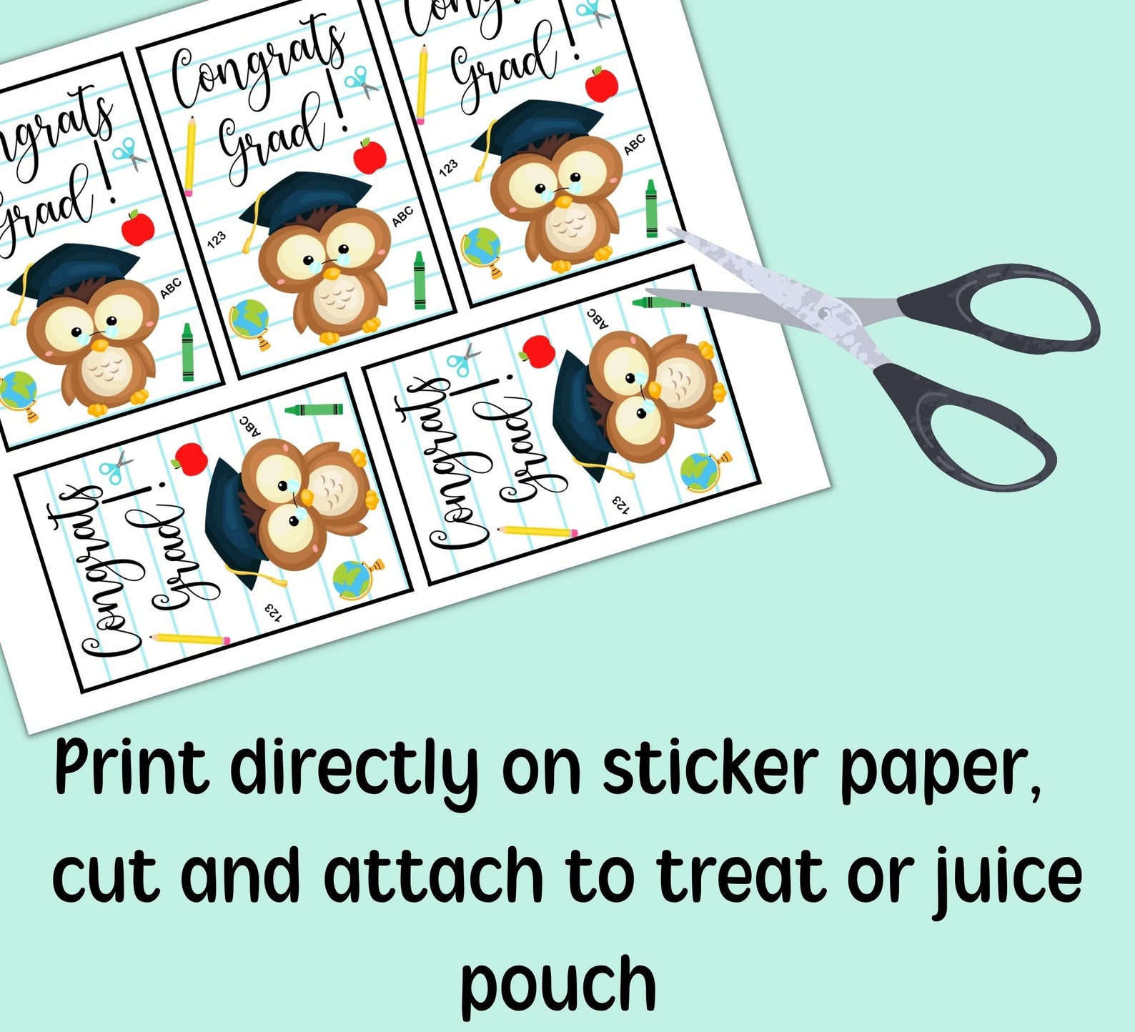 Preschool Graduation Party Favors, Grad Party, Kindergarten Graduation ...