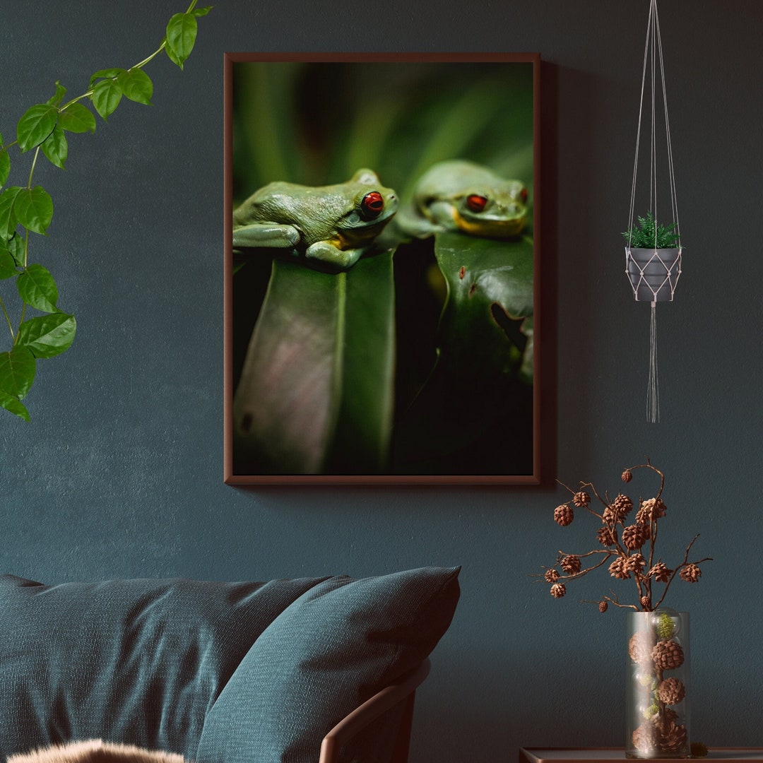 Red Eyed Tree Frog Print Tropical Rainforest Wildlife Print Animal Wall ...