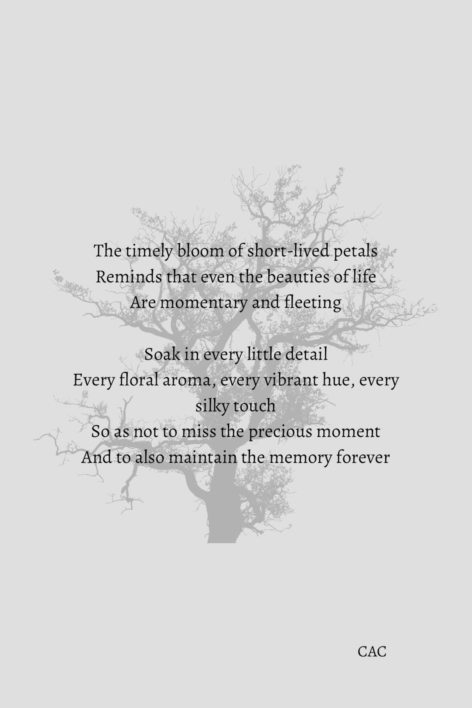 Season Poetry Collection (entire Set in Digital Format) - Grey Scale - Etsy