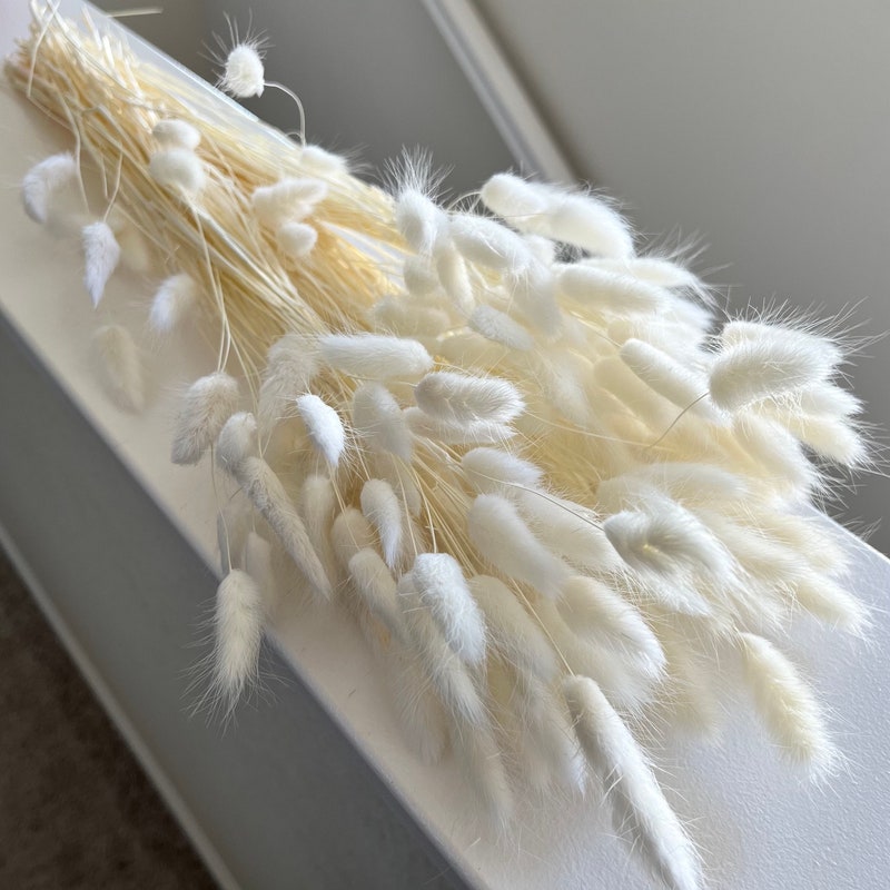 Bunny Tails - Etsy
