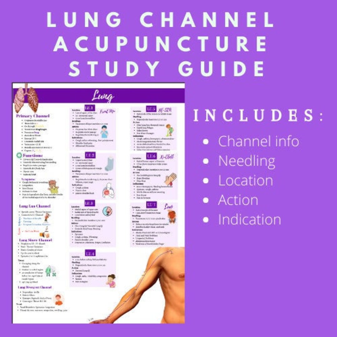 Lung Channel Acupuncture Study Guide - Etsy