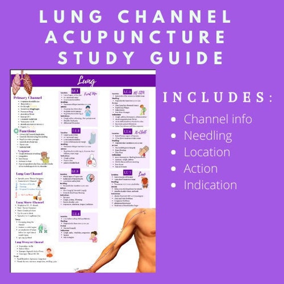 Lung Channel Acupuncture Study Guide | Etsy