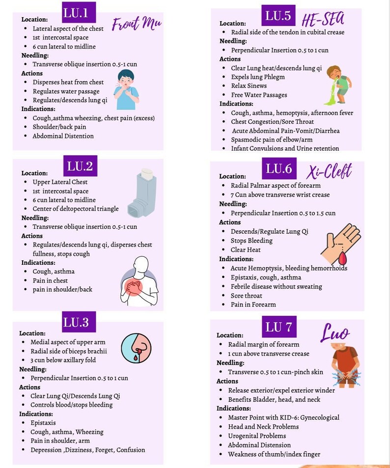 Lung Channel Acupuncture Study Guide - Etsy