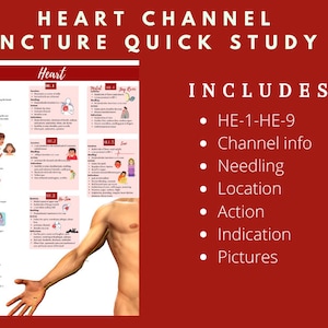 Heart Channel Quick Acupuncture Study Guide - Etsy