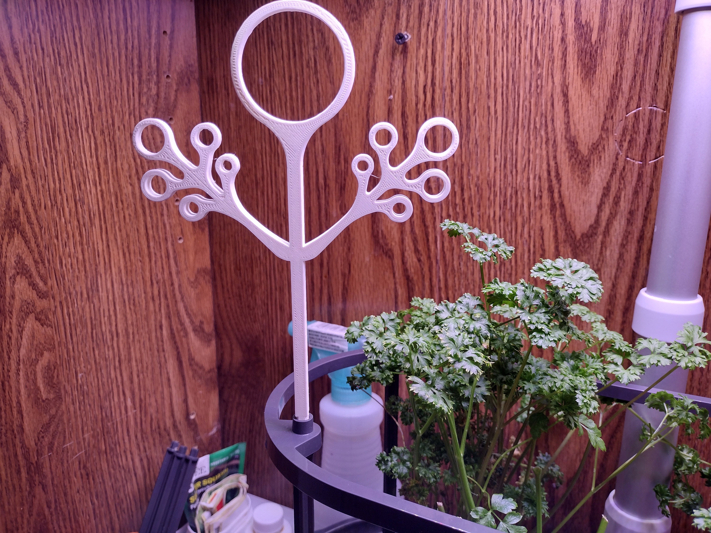 Aerogarden Trellis Tree Buddy - Etsy