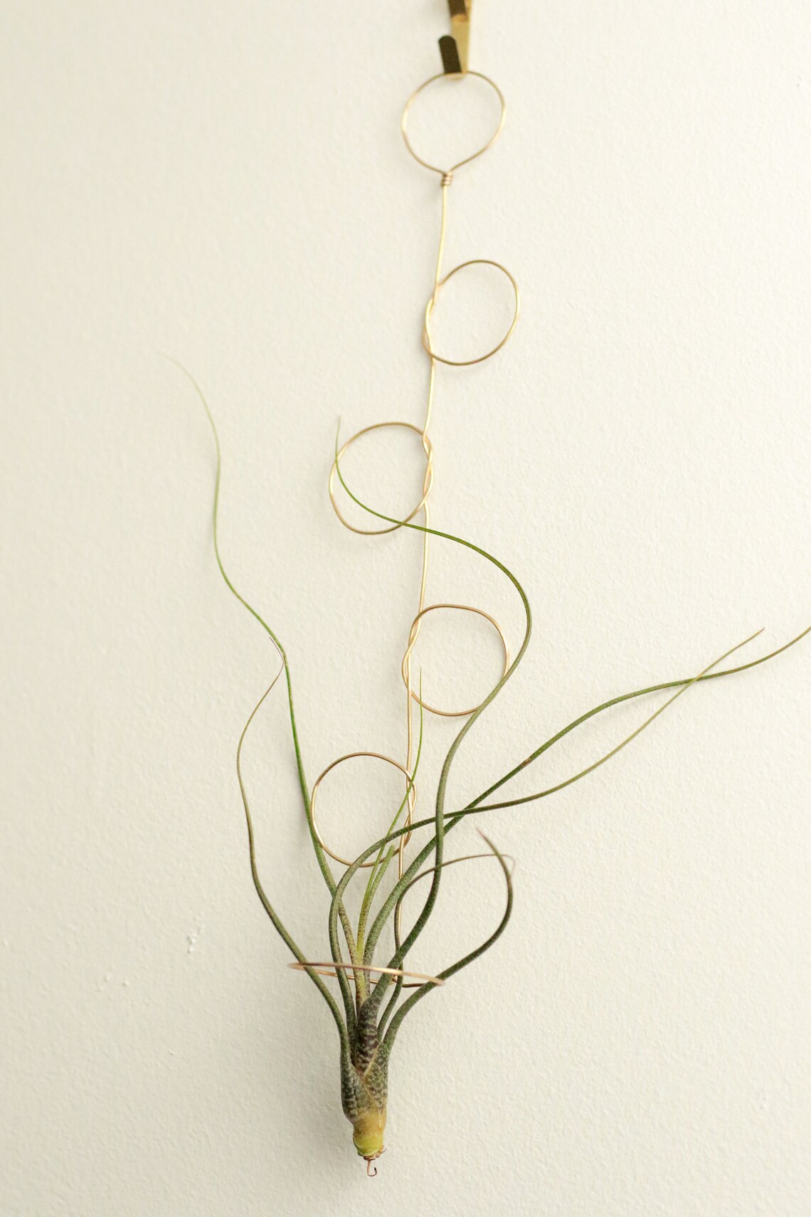 Wire Plant Hanger Loops - Etsy