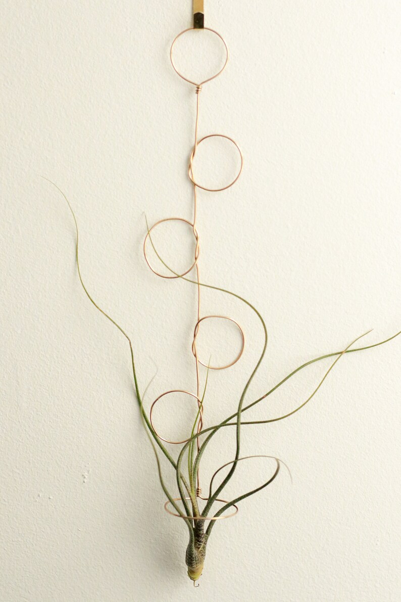 Wire Plant Hanger Loops - Etsy