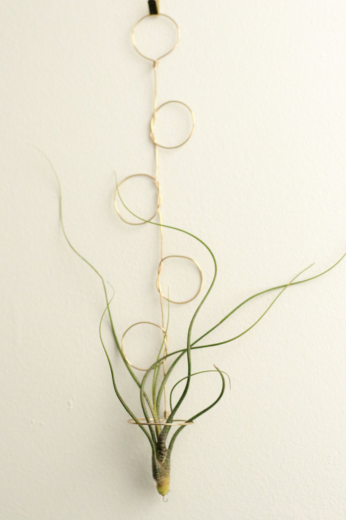 Wire Plant Hanger Loops - Etsy