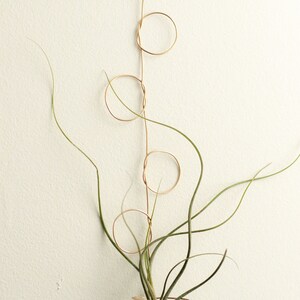 Wire Plant Hanger Loops - Etsy
