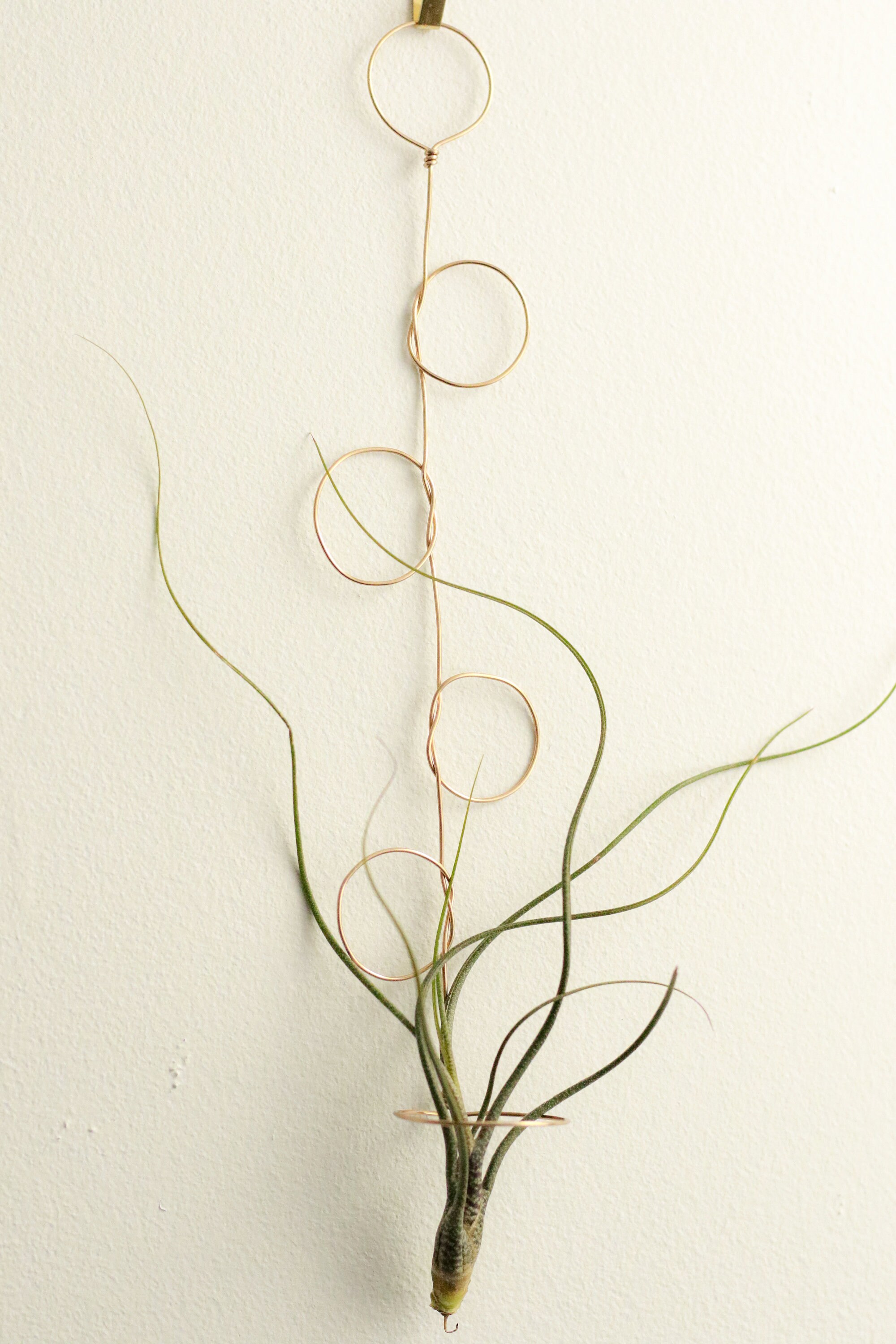 Wire Plant Hanger Loops - Etsy