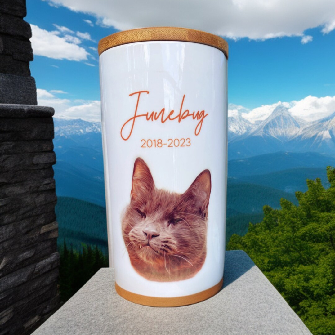 Urn for Cat Ashes, Cat Memorial Gift Personalized, Cat Urn With Photo ...