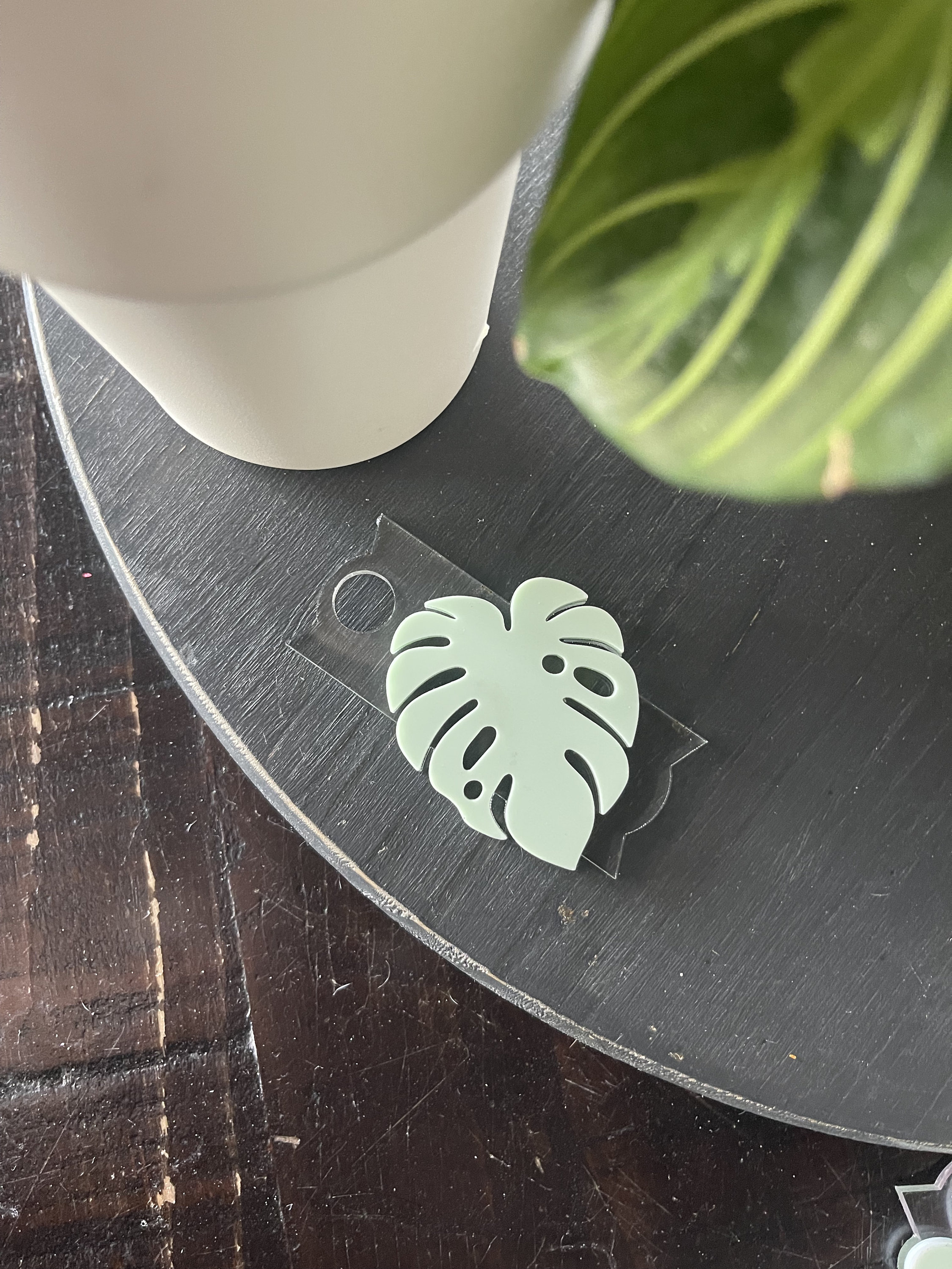 Stanley Topper Monstera Leaf Cut File Download SVG PNG JPEG - Etsy