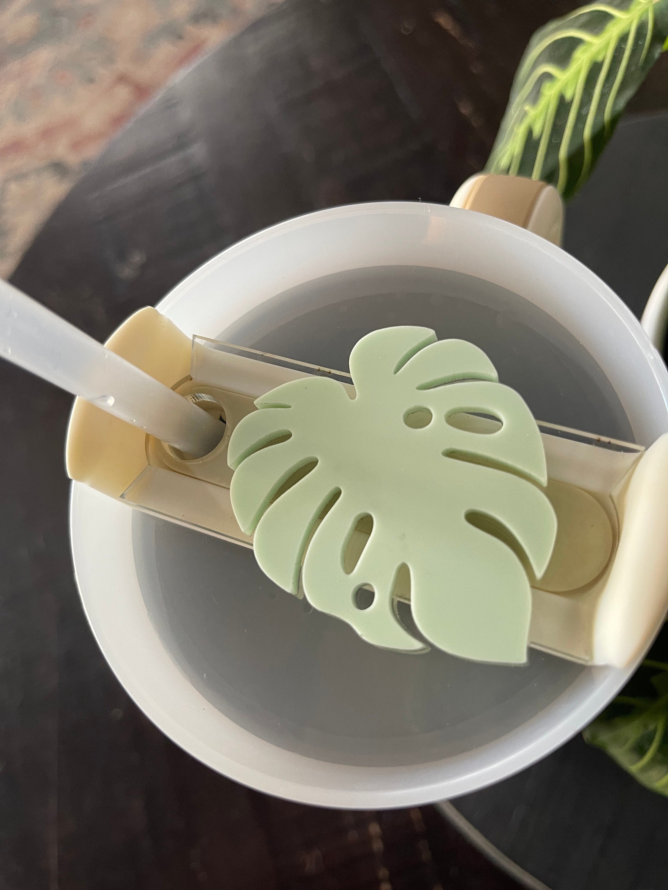 Stanley Topper Monstera Leaf Cut File Download SVG PNG JPEG - Etsy