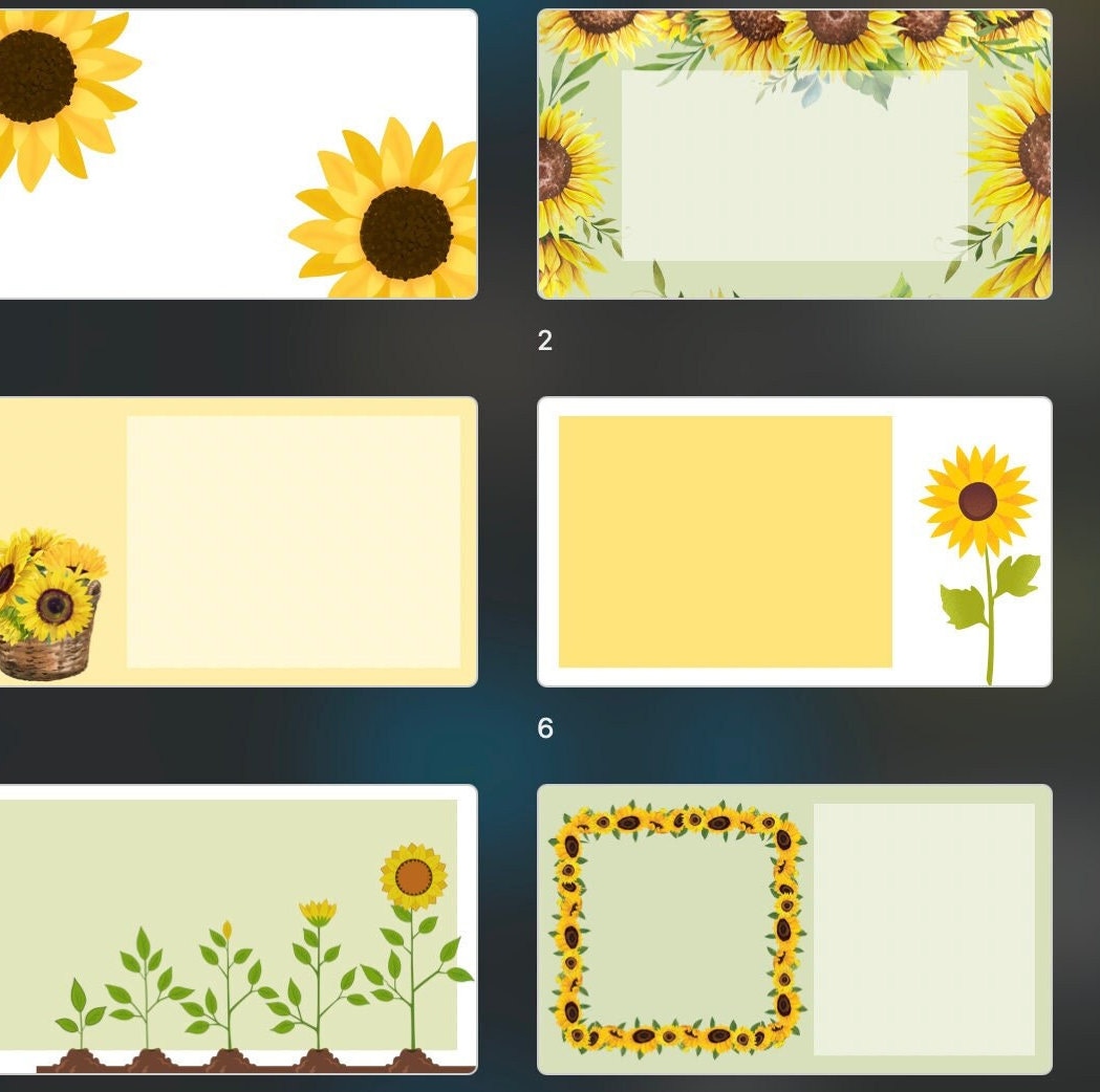 Sunflower Themed Slides - Powerpoint - Classroom Slides - Morning ...